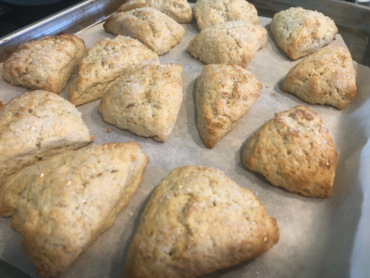 Cream Scones & Corn – Every Pan in the House